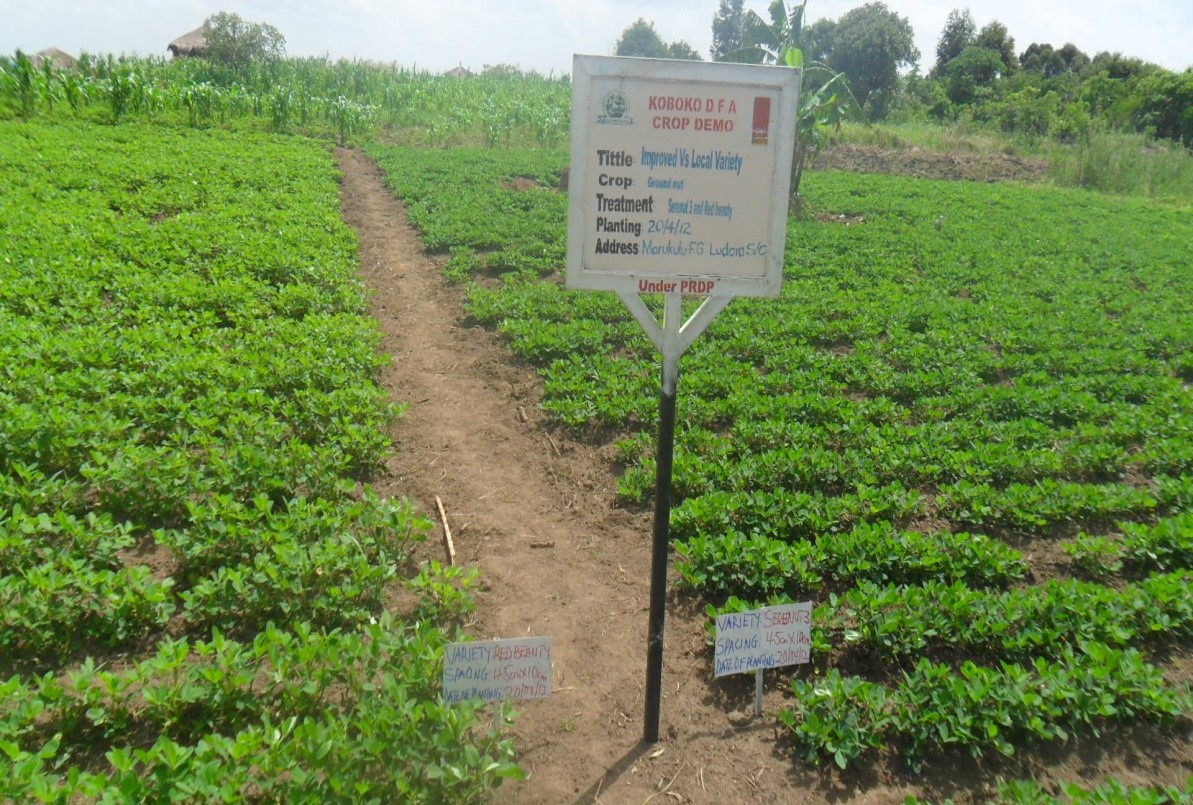 Koboko District - WestNile Online